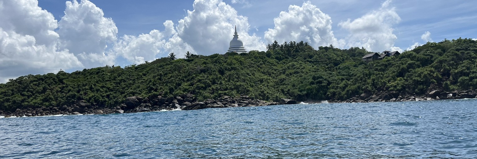 Лисички Черноусовы ( Dress your Device )