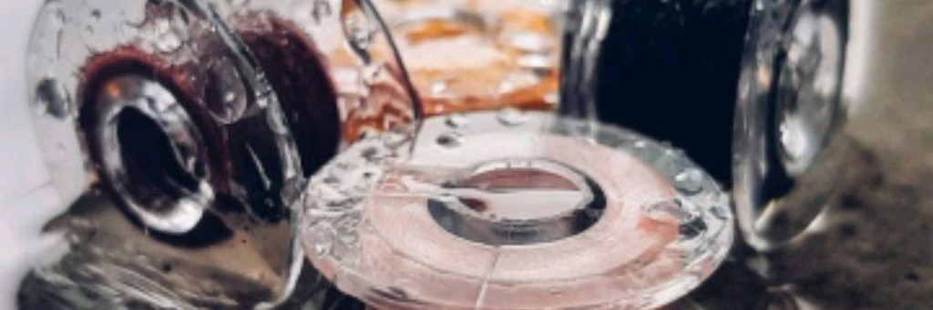 Васильева Антонина