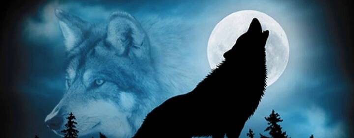 Волчок_werwolf