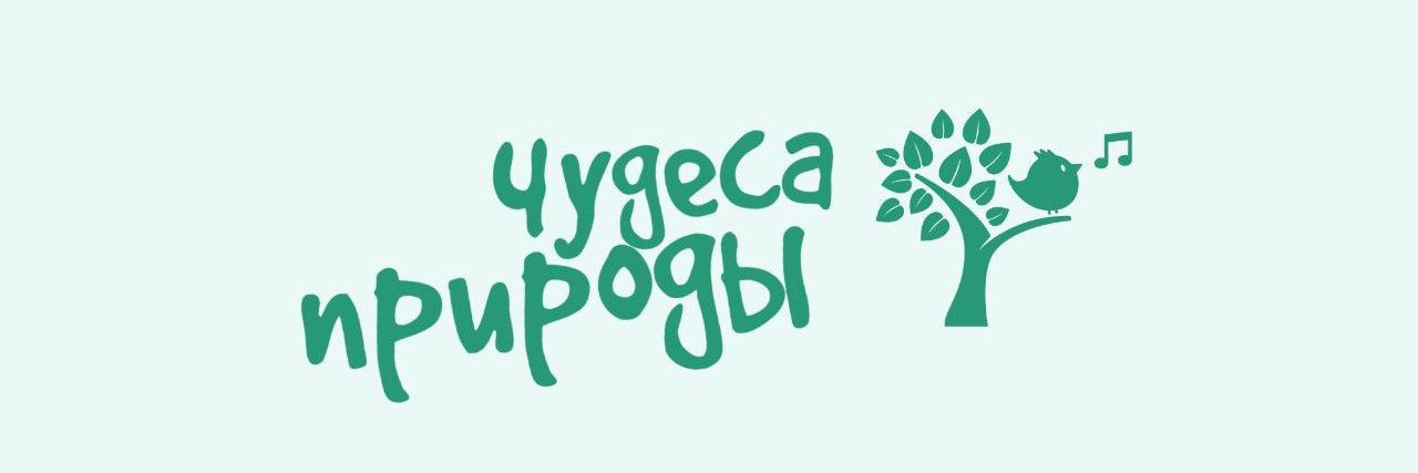 ЧУДЕСА ПРИРОДЫ