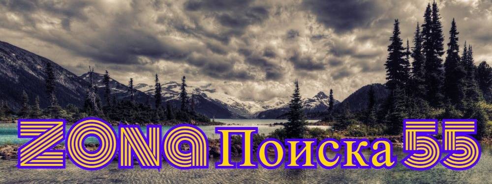 ZOna поиска 55
