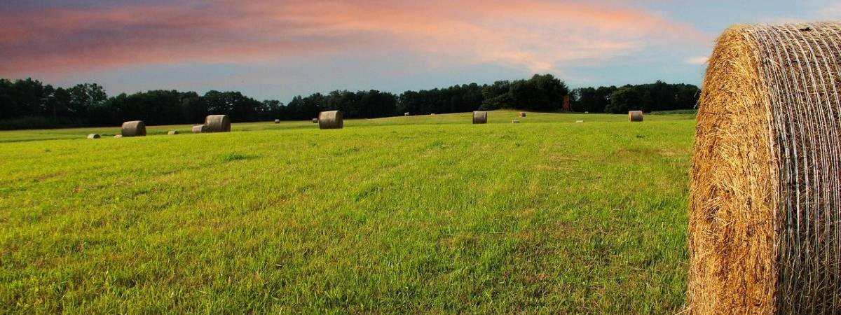 Фермерские переделки