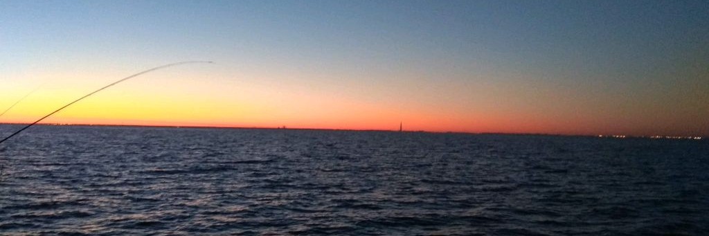 Жизнь фидериста