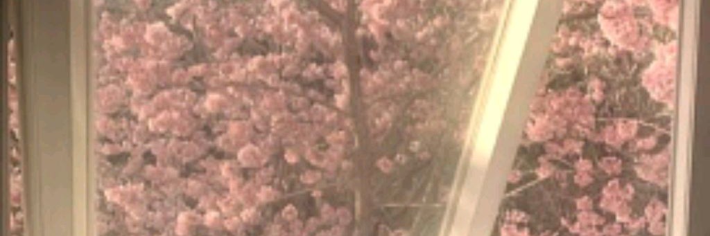 Перезаливы с ютуба