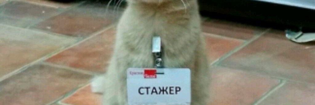 Видок ТВ?