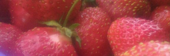 Валерий Бондаренко