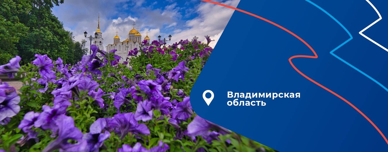 Единая Россия Владимирская область