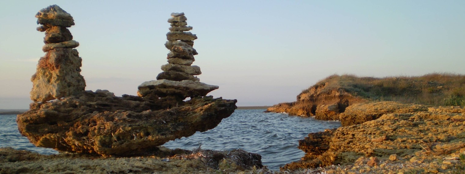 Грей Форестер