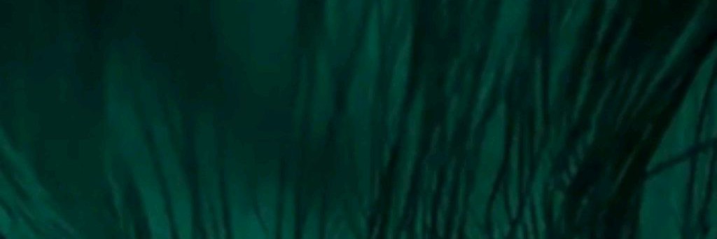 Эльвира Кайдаулова