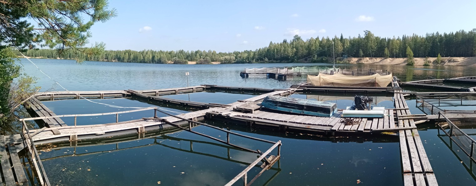 Алексей Коковкин