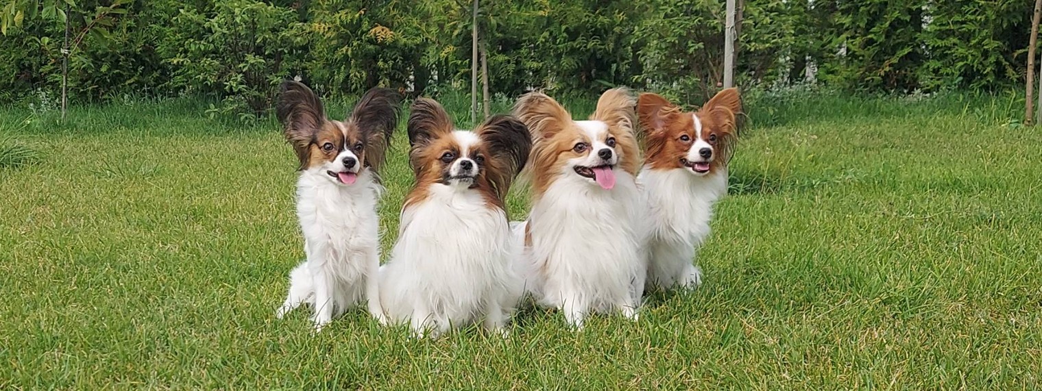 Русский Бриллиант