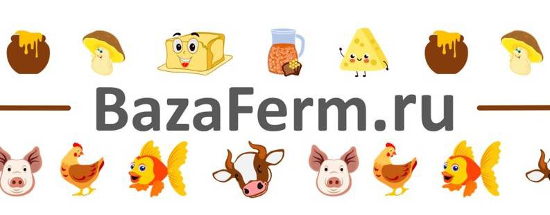 BAZAFERM.RU