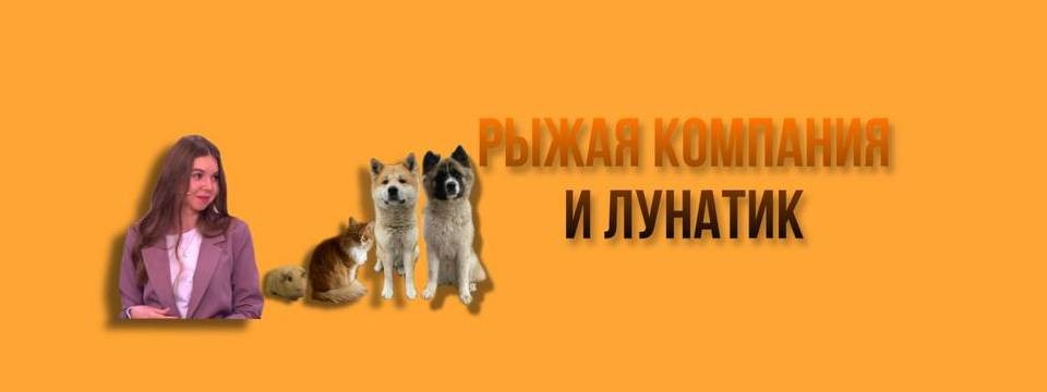 РЫЖАЯ КОМПАНИЯ И ЛУНАТИК