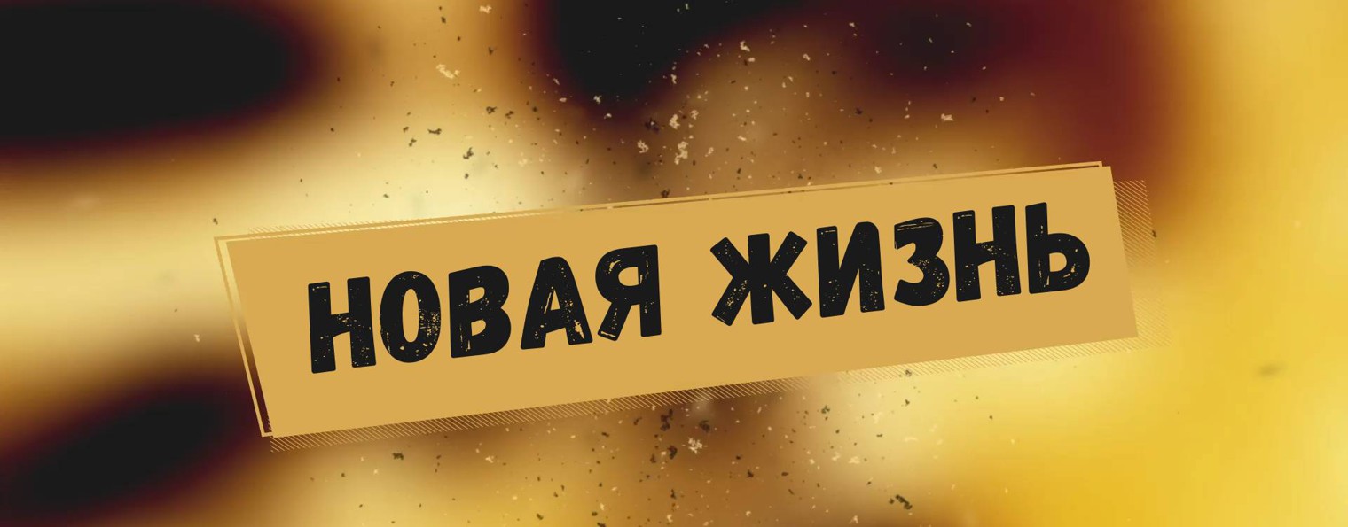 ЛПХ Никитенко