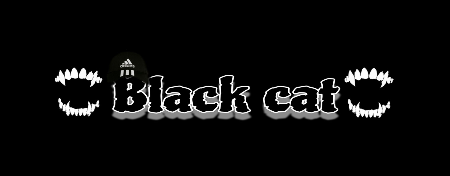 Black cat