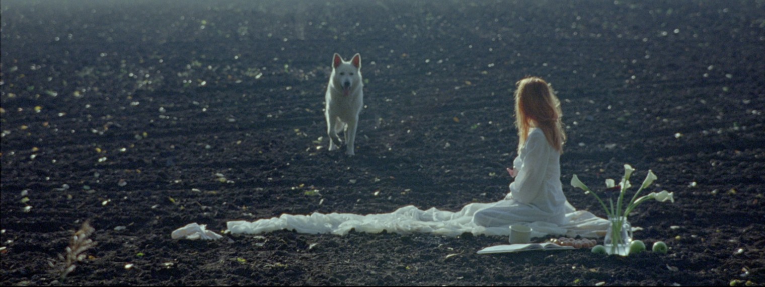 КурКультур