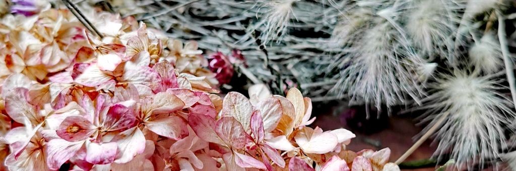 Сухоцветы и букеты