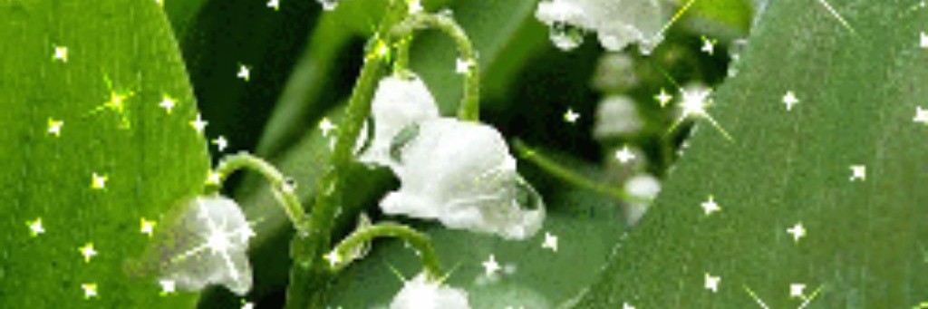 Ансамбль "Знамение "🌺 Федосеева Елена