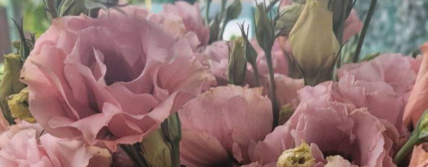 Елена Филина . Жизнь предпринимателя .