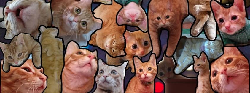 Red Cat