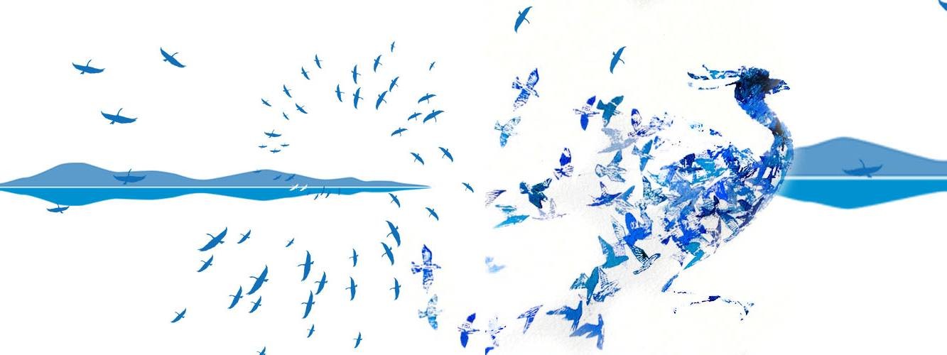 Медицинское предприятие Симург | Simurg MP