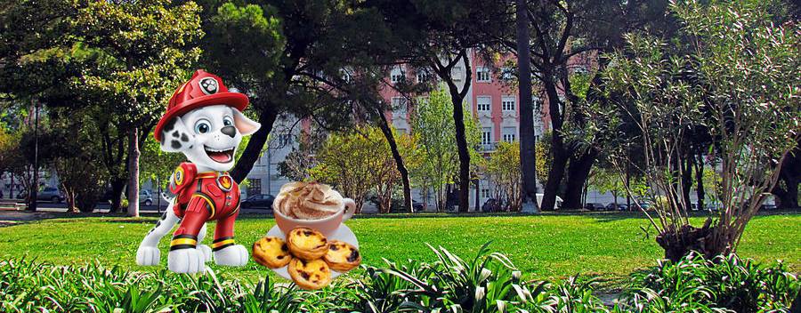 Артём Вялков