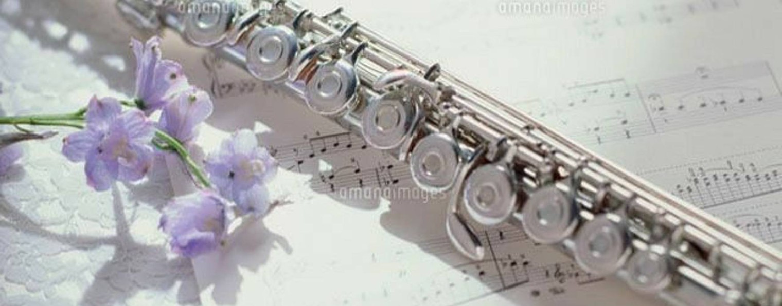 ШКОЛА ФЛЕЙТЫ Алисы Семаковой