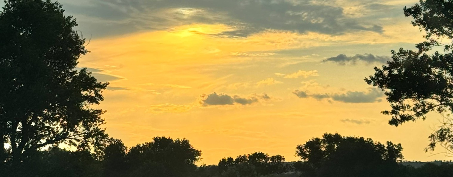 MaxStudio Cinematics