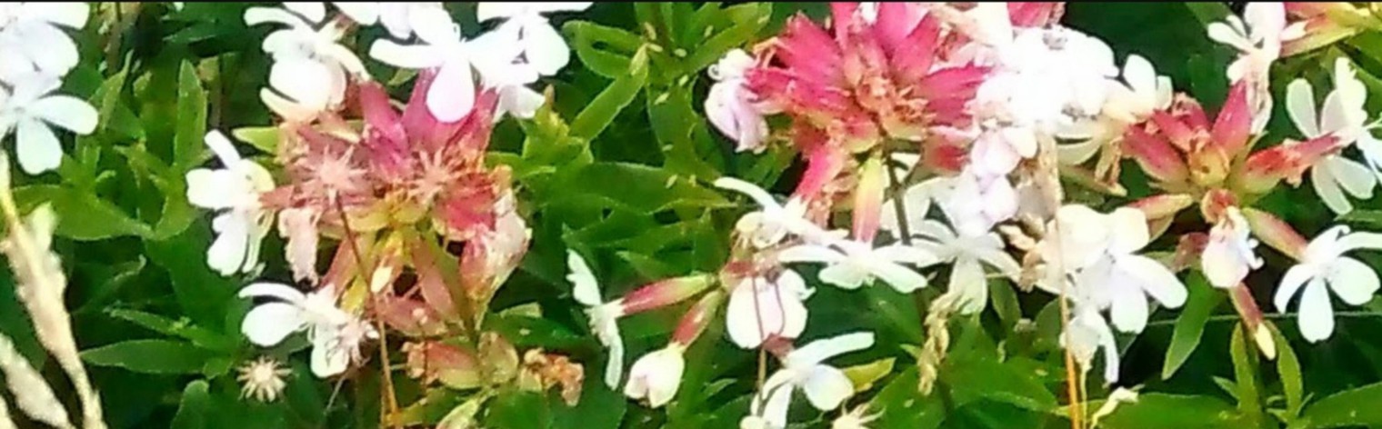 Наталья К. Меняю жизнь людей к лучшему