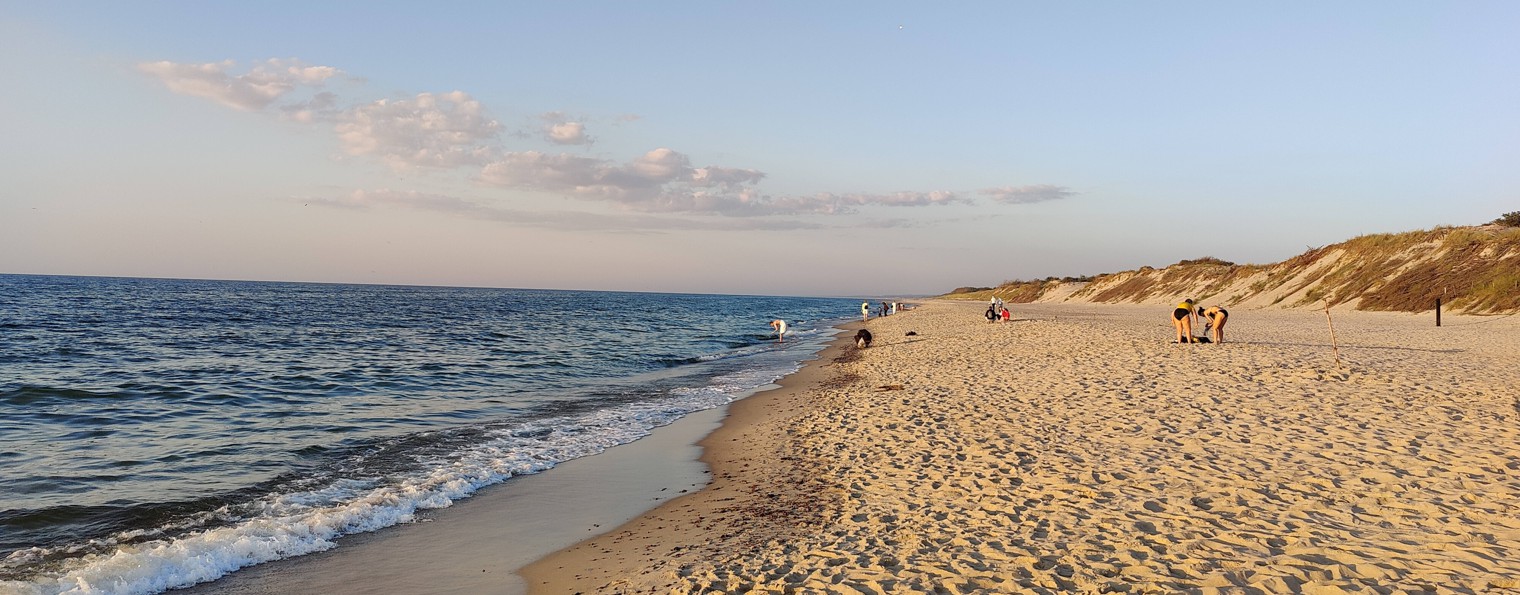 ОБРАТНАЯ СТОРОНА ВОДЫ