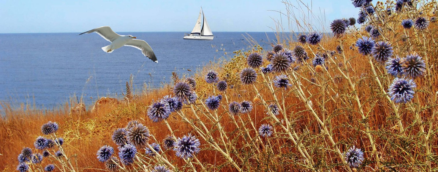 Екатерина Васильева