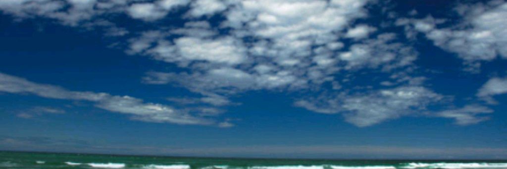 Умелые Лапки🐾