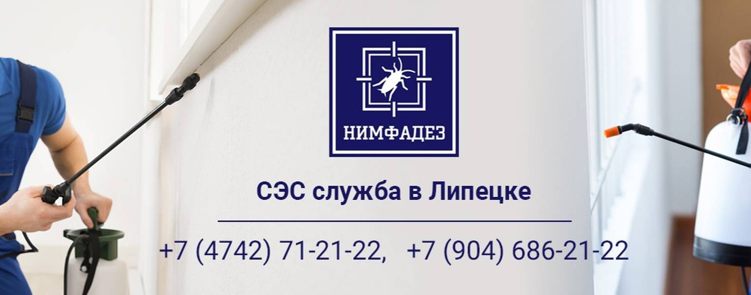 Nimfadez — ДЕЗСЛУЖБА в Липецке