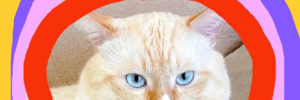 Мой Антистресс официальный канал.