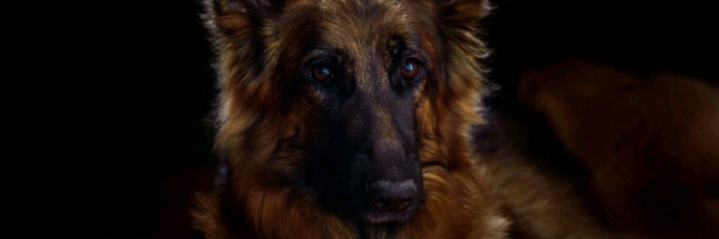 Маришка Штоц