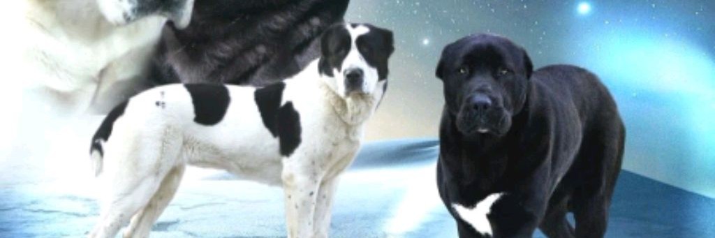 Питомник САО Малихат