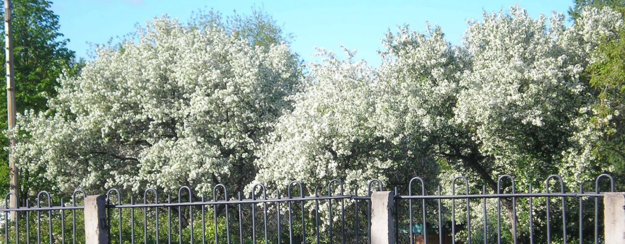 "ОБЪЁМНЫЙ ФОРМАТ" (МБОУ СОШ № 73 Г. ЛЕСНОЙ)