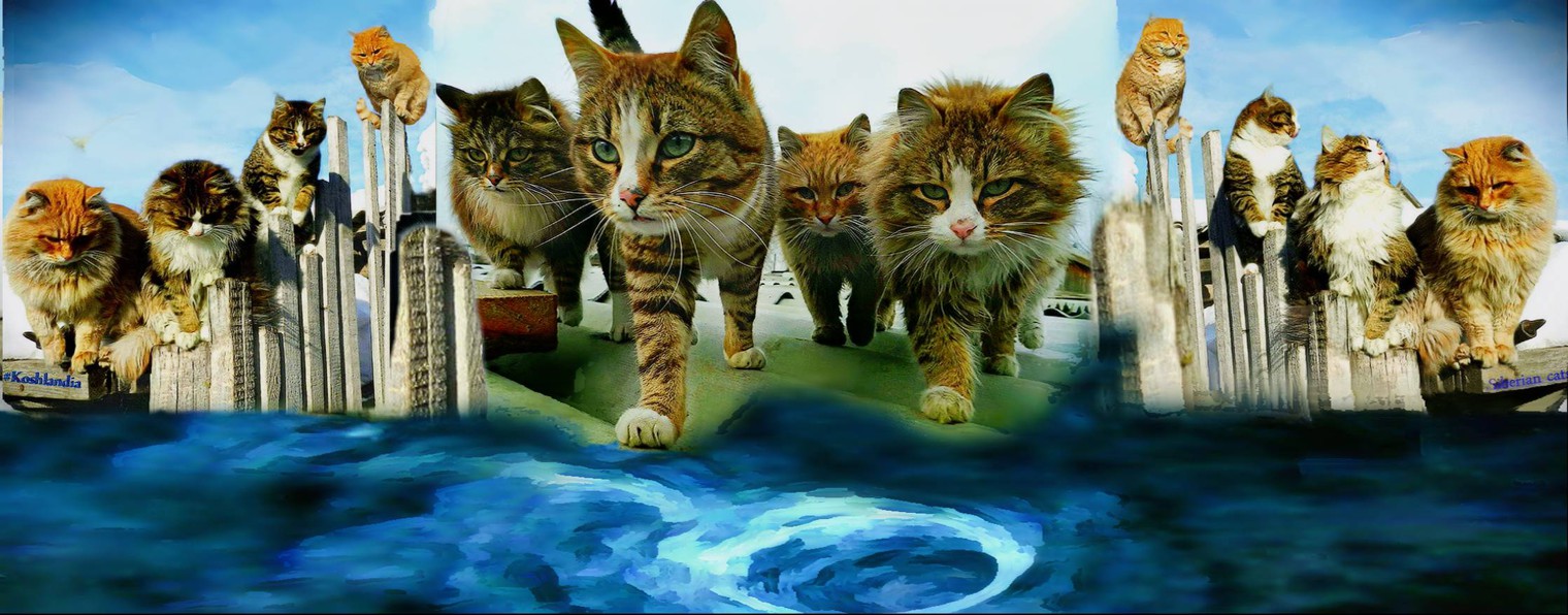 Кошляндия. Параллельные миры