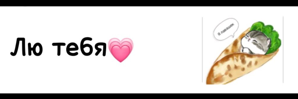 🌯//Кот лавашик//🌯