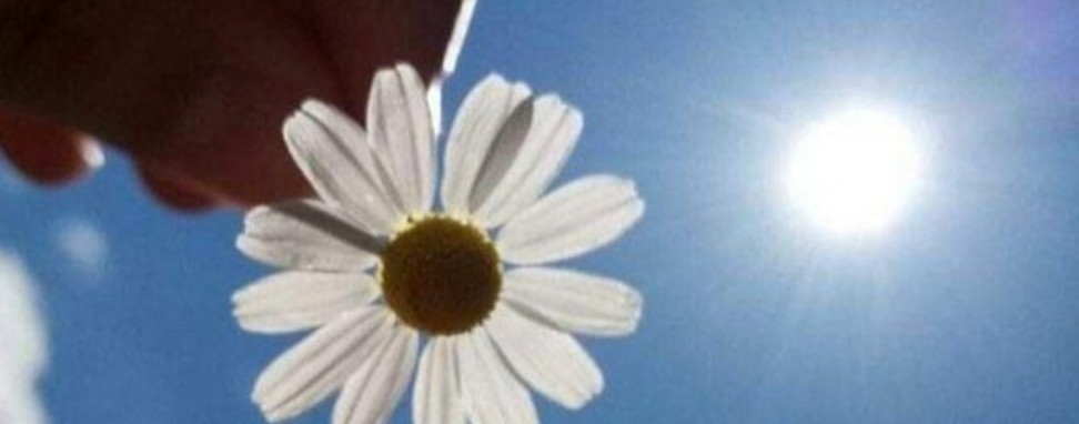 Песни и приколы