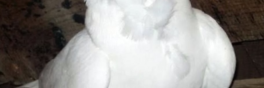 Слава Богу за все