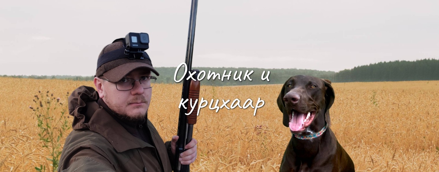 Охотник и курцхаар