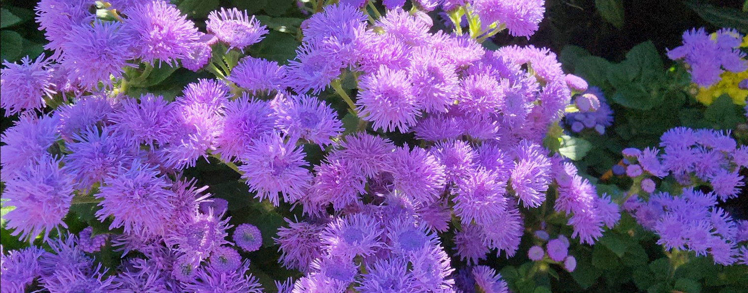 О хорошем и простом.