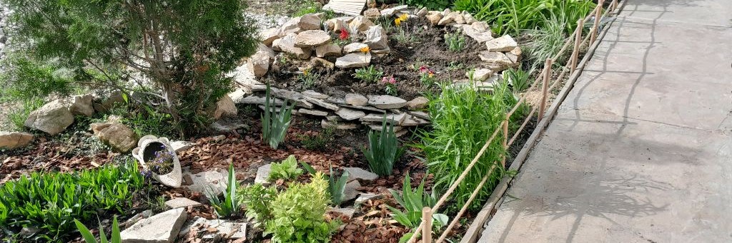 Иванов Антон