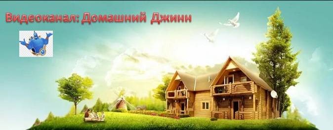 Домашний Джинн