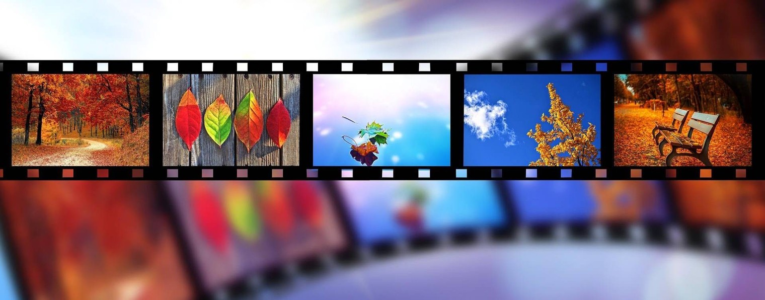 video land