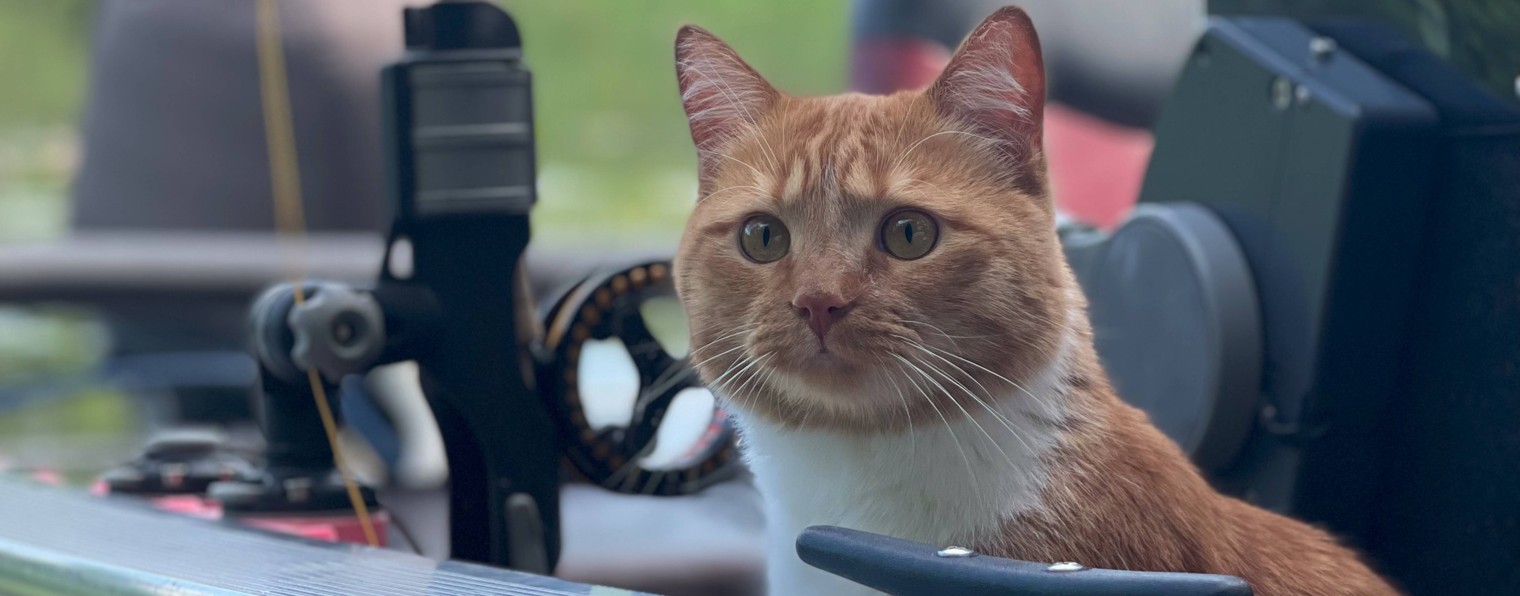 Пневмокарп