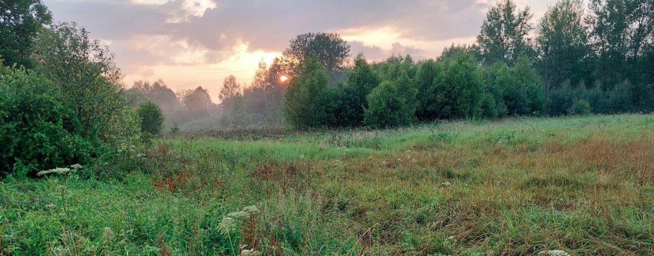 Канал Андрея Никулина