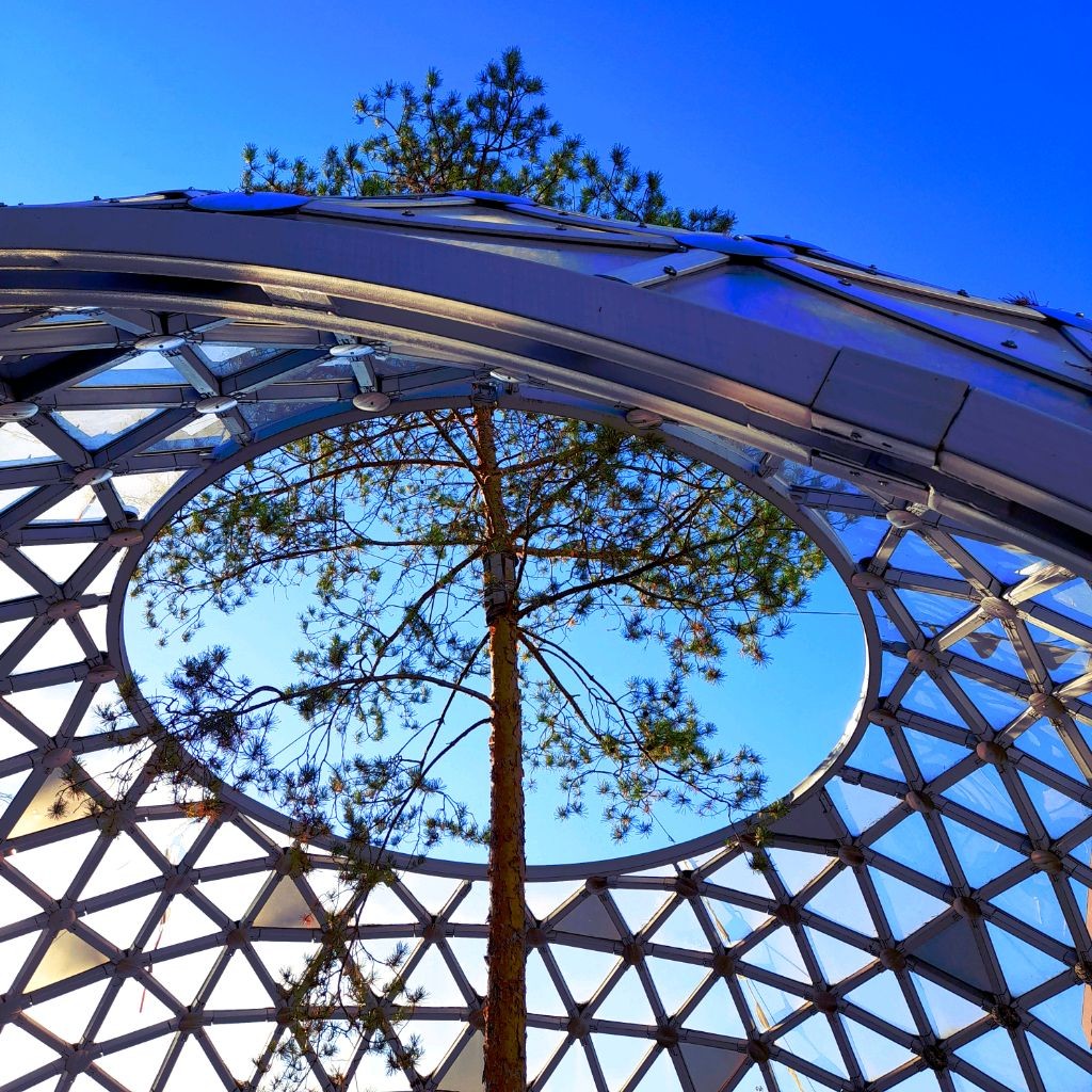 Музыкальный блокнот Д.А.