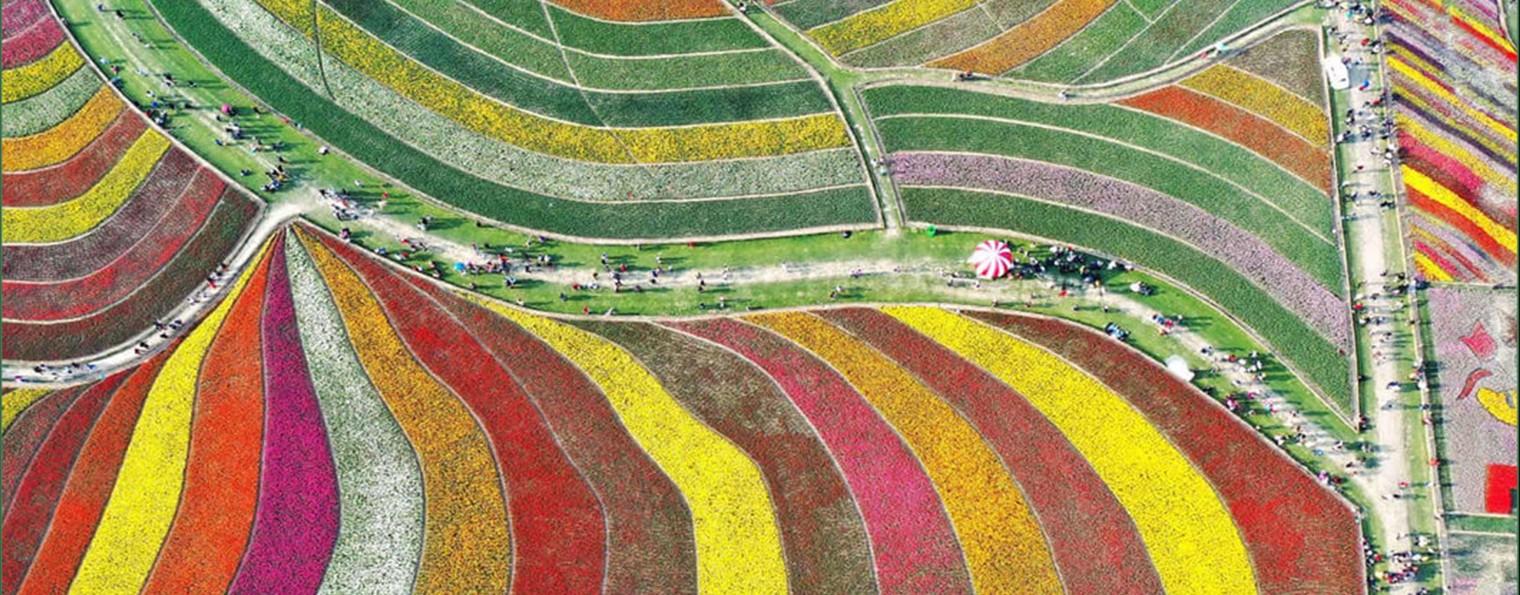 Пространство Эволюции